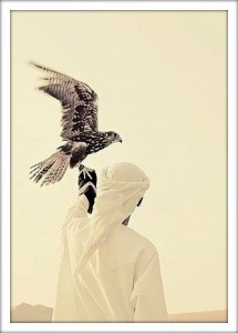 On the Same Page | The Wrath and the Dawn | Renee Ahdieh | Tripping ...